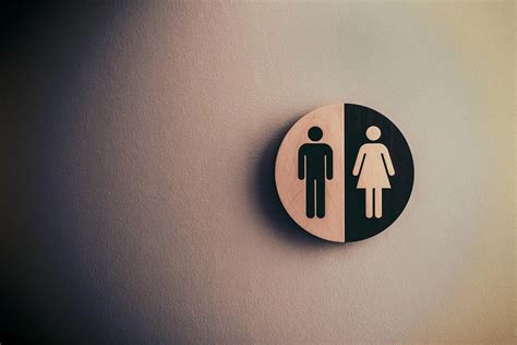 Understanding Your Sex Hormones Estrogen Progesterone And