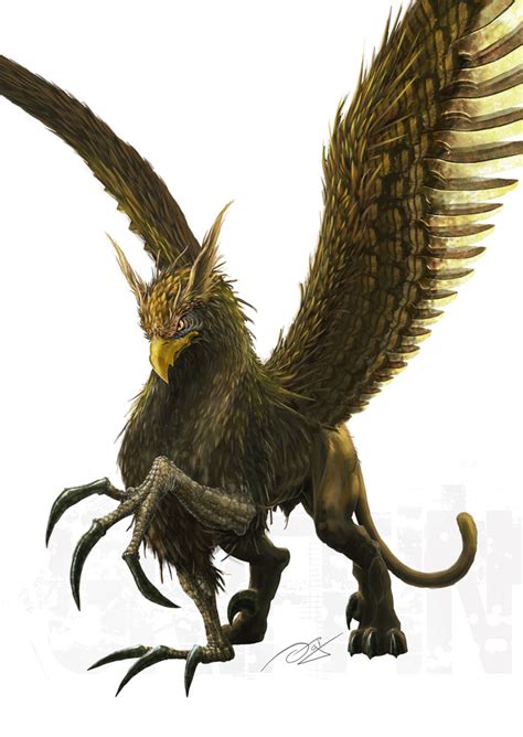 Griffin By Ogi G On DeviantArt