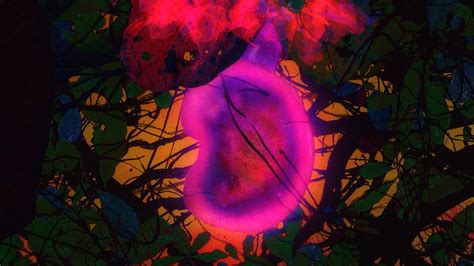 Casca Cinemateca Brasileira