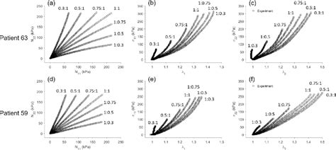 Figure 3 From A Generic Physics Informed Neural Network Based Constitutive Model For Soft