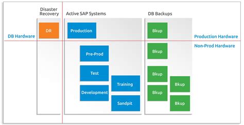 Uncover Invisible Sap Test Data To Recover Costs