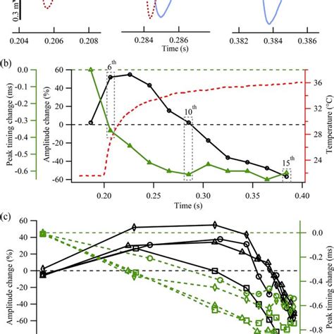 Modulation Of The Synaptic Transmission During The Rising Phase Of The