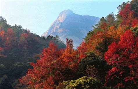 【10人成团】国旅资深导游带你走进广东小富士山 128元 • 纯玩一天游~红叶源头江源