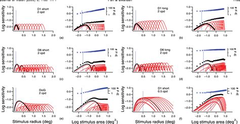 Figure 3 From A Cortical Pooling Model Of Spatial Summation For Perimetric Stimuli Semantic