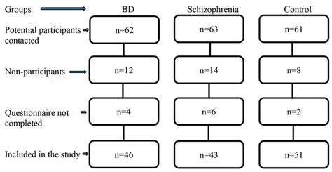 Flow Chart Of Participants BD Bipolar Disorder Schizophrenia BD Download Scientific