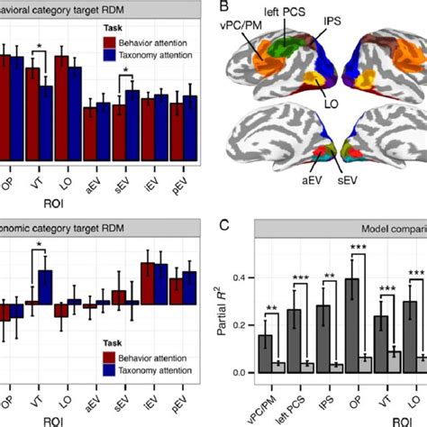 Attention Alters Representational Geometry In Functionally Defined