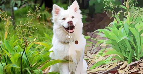 How To Add Background Image In After Css Code Canel