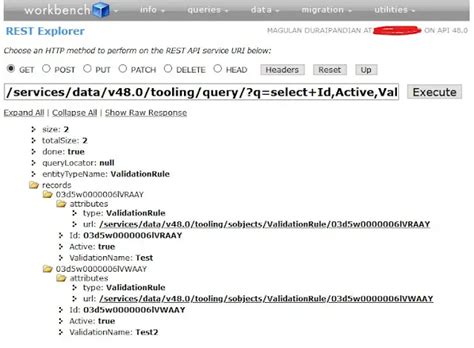 Fetch Salesforce Validation Rules Using Tooling Api Infallibletechie