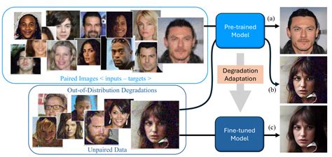 Taming Generative Diffusion For Universal Blind Image Restoration Ai Research Paper Details
