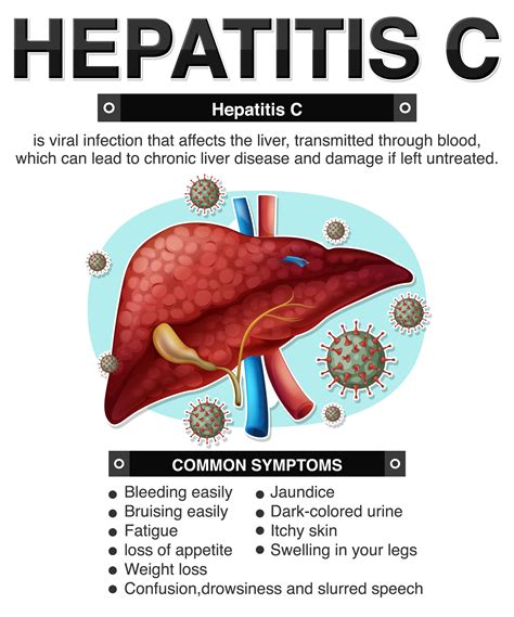 Understanding Hepatitis C Hcv