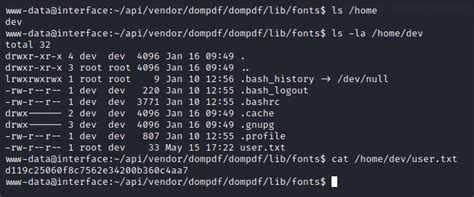 Interface Hackthebox Writeup Thoviti Siddharth