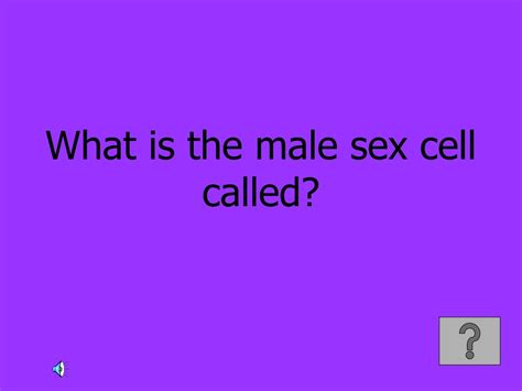 PPT Reproductive System PowerPoint Presentation Free Download ID