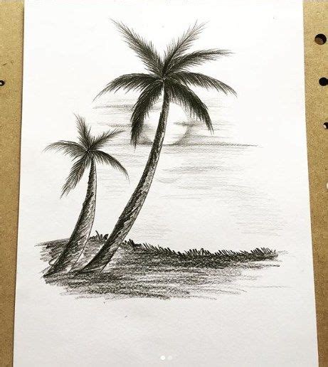 Landscape Pencil Drawing Of Palm Trees Palm Tree Drawing Sketches