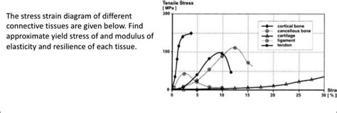 Solved Tensile Stress [mpa] 200 The Stress Strain Diagram Of Different Connective Tissues Is