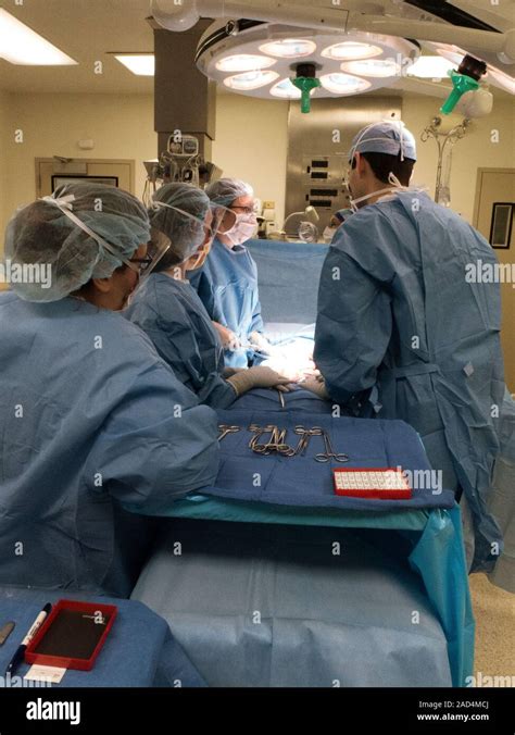 Bowel Obstruction Surgery Surgical Team At Work In The Operating Room