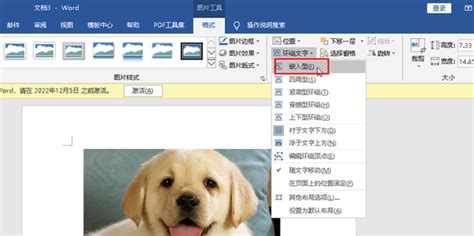 为什么图片在word里面只显示一部分 360新知