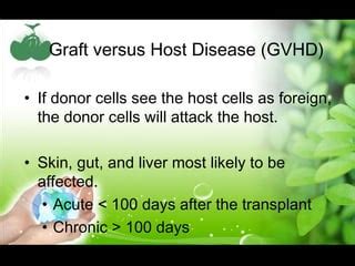 Bone Marrow Transplant Ppt