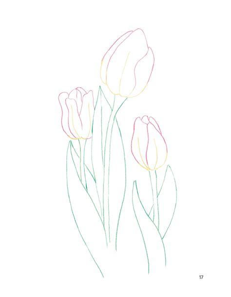 알라딘 미리보기 색연필로 그리는 꽃그림