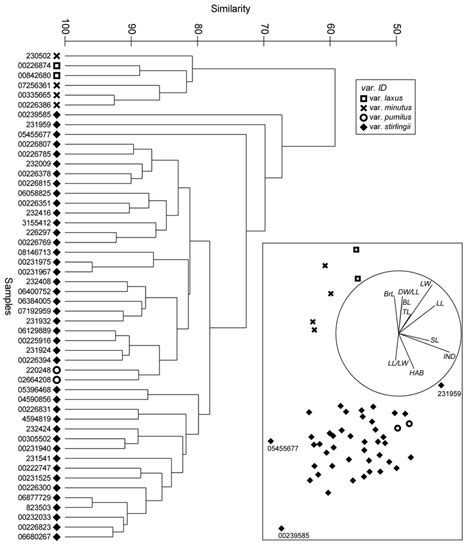 Upgma Dendrogram And Inset 2 Dimensional Nmds Ordination Of The Four Download Scientific