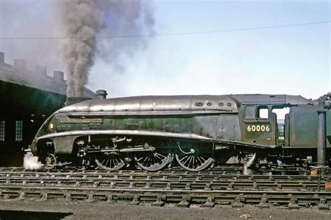 Rusty Drb Class 50 Steamporn