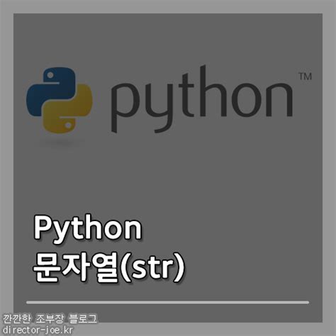 Python 문자열 Str