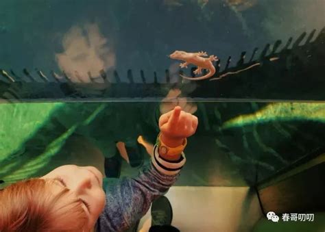 什么是无服务器架构 源码巴士