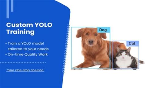train yolo model for object detection and recognition by masood 5 fiverr