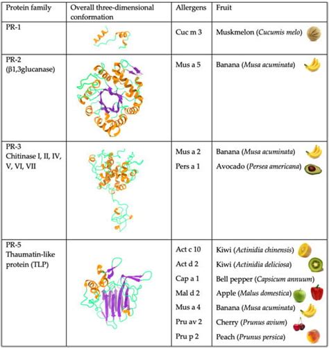 Cross Reactivity Of Fruit Allergens Encyclopedia Mdpi