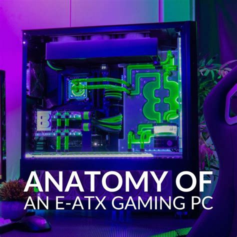 Anatomy Of A Cpu