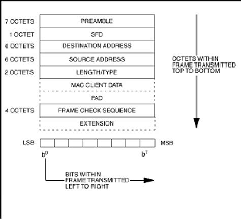 Ethernet Frame Format Download Scientific Diagram