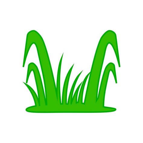 Premium Vector Grass