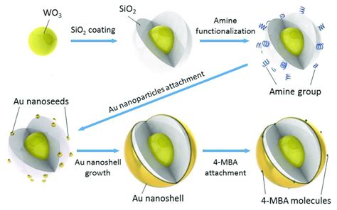 2 Diagram Of The Wo3 Sio2 Au Core Shell Composite Nps Synthesis Process Download Scientific