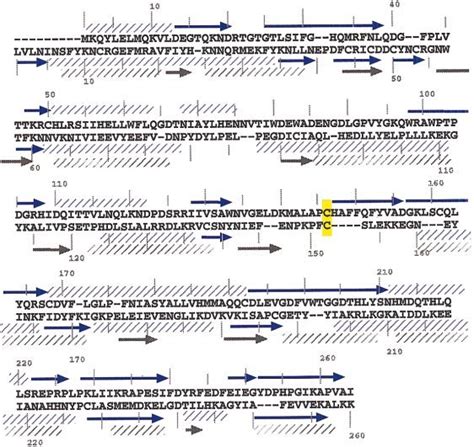 Secondary Structure Alignment Of E Coli Ts And Mj0757 Sequence