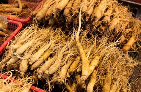 Fresh Ginseng In Food Market Stock Image Image Of Root Asia 35584681