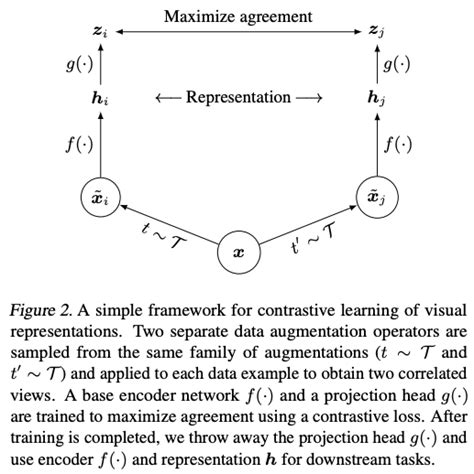 Paper Explained Take Home Points Of Using Contrastive Learning On Histopathological Images