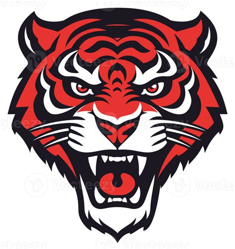Tiger Head Illustration PNG