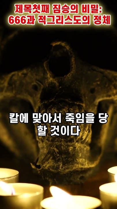 🧧신천지 교리 계시록13장1부 21바다에서 올라온 첫째 짐승의 극심한 훼방과 핍박 계시록실상 요한계시록 계시록예언과성취증거 계시록13장 Youtube