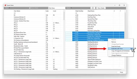 Review Smartviews 2025 Duplicate Sheets With Views