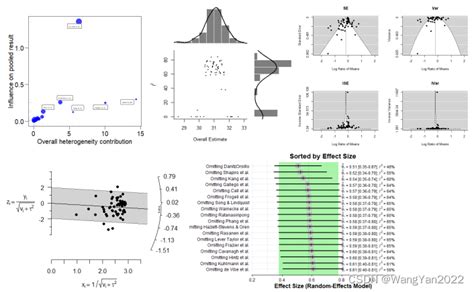 R Meta多手段全流程分析与meta高级绘图、多层次分层嵌套模型构建与meta回归诊断、贝叶斯网络、mcmc参数优化及不确定性分析、meta数据缺失值处理、meta加权机器学习与非线性
