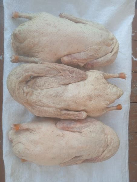 Продаю мясо домашнего гуся 450р кг Тушки 3 5кг Печень желудки гусиные 400р кг Доставка