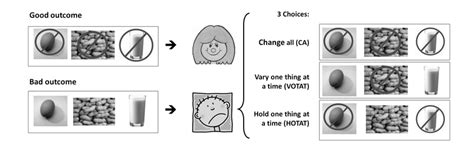 Hypothesis Testing Task Participants Were Asked To Select A Test Of