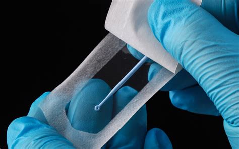 1ul Inoculating Loops Sterile China Manufacturer