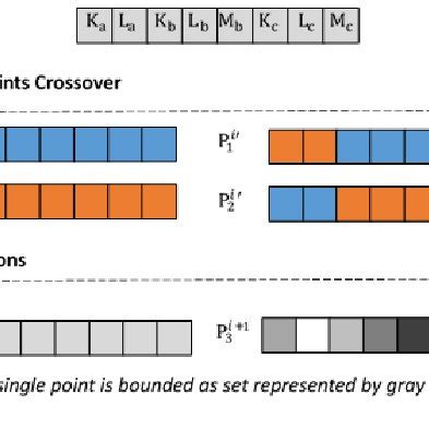 Two Point Crossover And Multi Point Mutation Examples Download