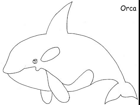 Orcas Dibujos Para Colorear