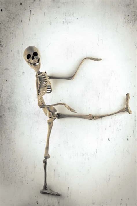 Download Funny Skeleton Interesting Pose Picture