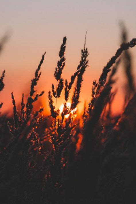 Old Lady In Zacatecas Mexico People Mexican Culture Old Women