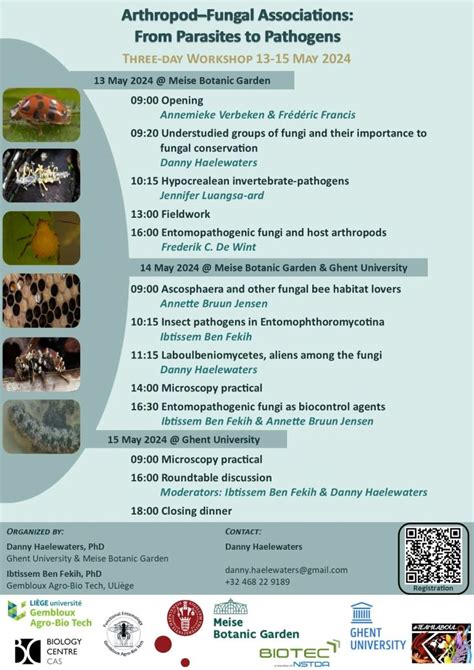 ahmed rebai posted on linkedin