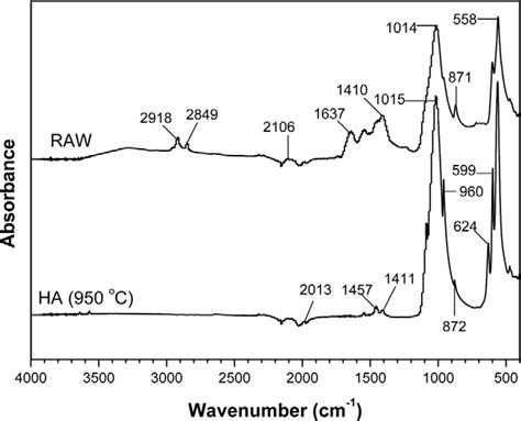 Ftir Spectra For Raw Cow Bone Powder Raw And Ha Obtained At 950 °c