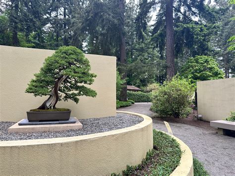 Exhibits Pacific Bonsai Museum