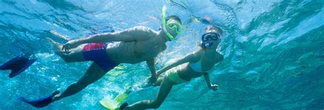 Aruba Snorkeling Guide For February 2026 Island Life Caribbean